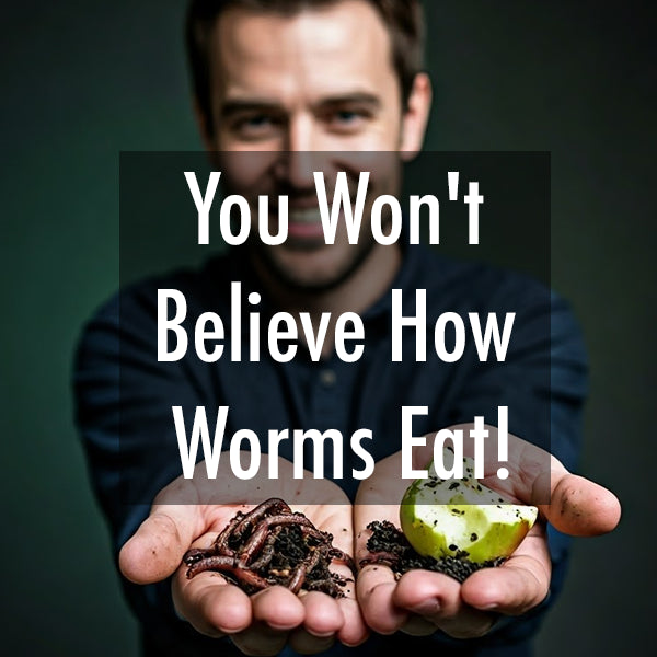 How Do Worms Eat Without Teeth? A Deep Dive into the Digestive System ...
